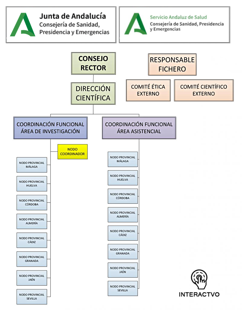 Estructura Organizativa | Biobanco del Sistema Sanitario Público de Andalucía